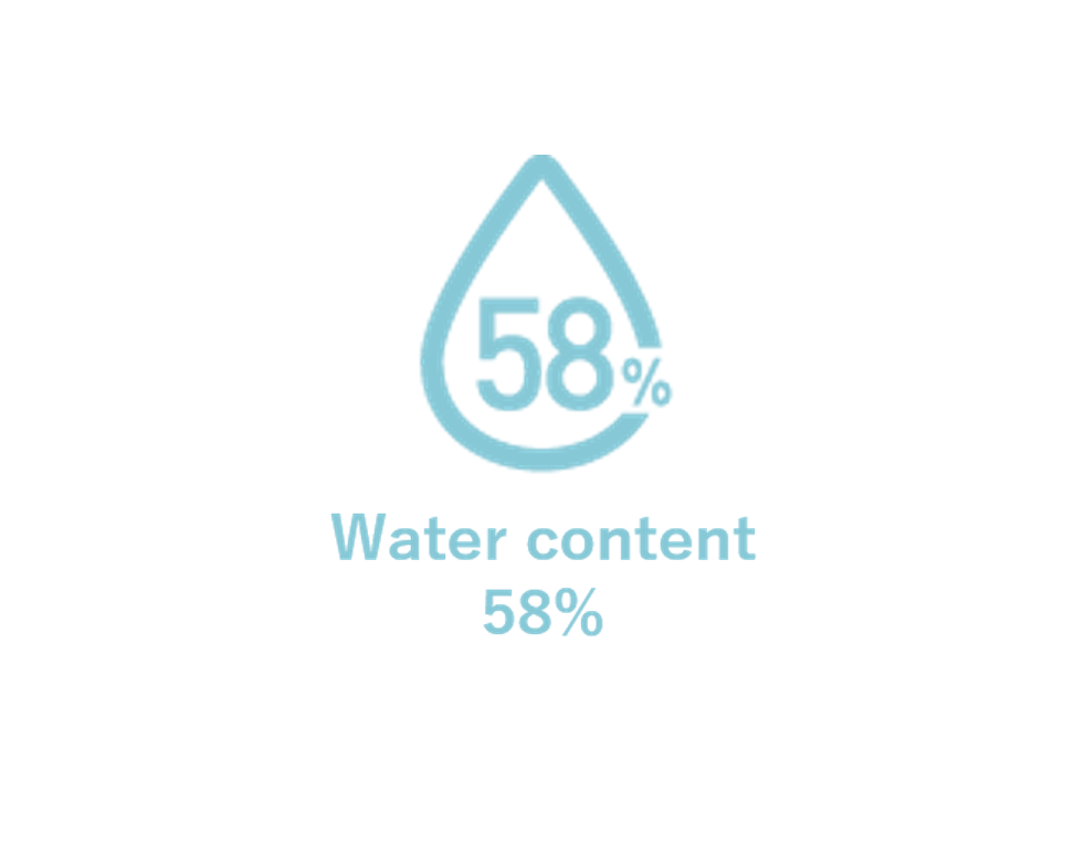 1DAY Menicon Rei | Products | Professional | Menicon